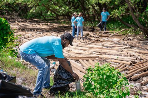 자원봉사자들이 삼림공원 지역에 버려진 쓰레기를 치우고 있다 플라스틱 쓰레기와 청소 구역을 모으는 행복한 사람들의 그룹 환경 보호 프로젝트 가방에 대한 스톡 사진 및 기타