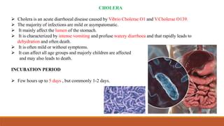 Cholera Acute Diarrhoeal Disease Pptx