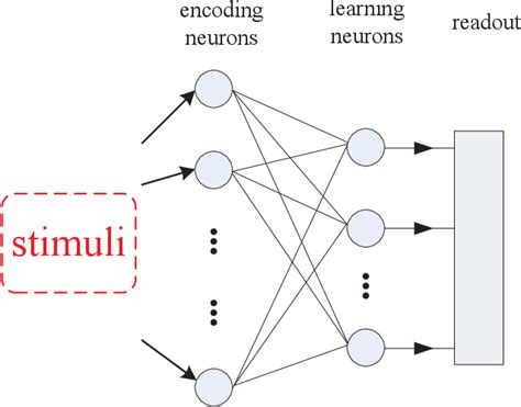 Figure 1 From Learning Real World Stimuli By Single Spike Coding And