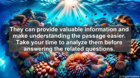 Top 10 Strategies For Reading Ielts General Training Texts Englishteststore Blog