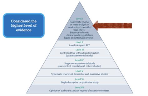 Week 8 Class 2 Systematic Reviews Flashcards Quizlet
