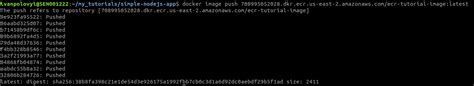 how to push a docker image to the aws ecr by ivan polovyi aws in