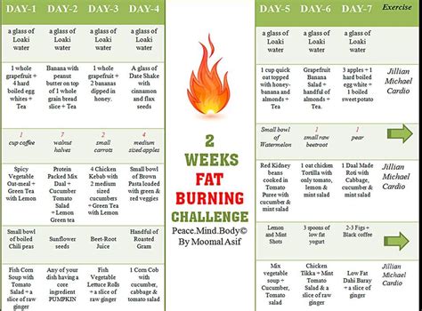 Fat Burn Diet Chart In Hindi At Alan Burke Blog