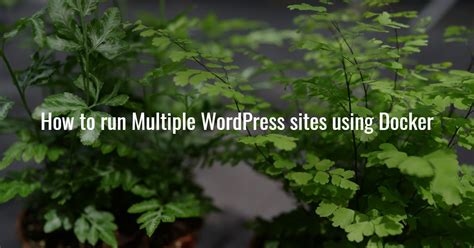 How To Run Multiple Wordpress Sites Using Docker Yuan3ys Lab