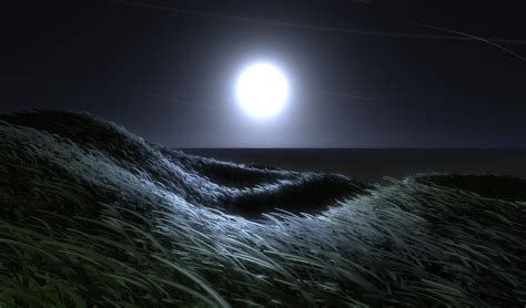 Grassflow Dx11 Grass Shader