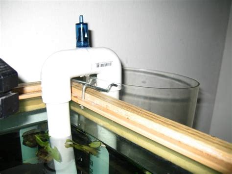 Overflow Box Diy Tropical Fish Keeping 47 Off