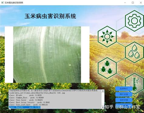 基于改进efficientnet的玉米叶片病虫害识别分类系统 知乎