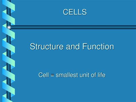 Structure and Function - ppt download