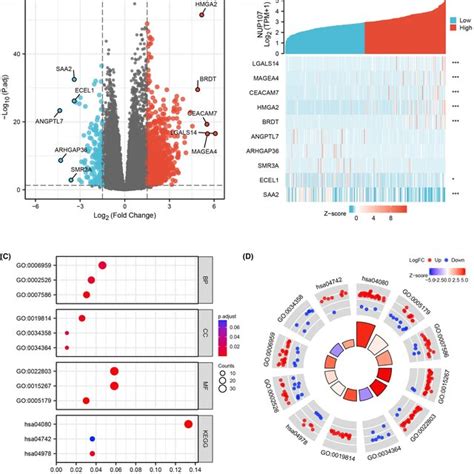 Identification And Functional Annotation Of Differentially Expressed Download Scientific