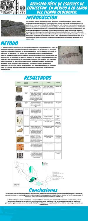 Testosterone The Male Sex Hormone Selection Of Our Books Indexed In The Book Citation Index In