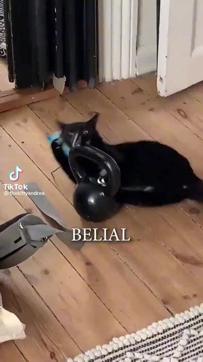 He Cute Tho Meme By Yourotherleft Memedroid