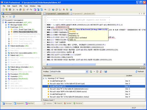 7Edit HL7 Browser Editor 7Edit Is A Visual HL7 Data Browser Editor Validator And Simulator