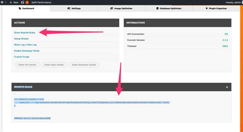 Add Rules To NGINX Config Swift Performance