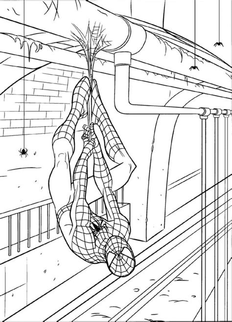 Spajdermen Bojanka 🕸 Pepe