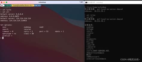 nslookup 入门命令详解 csdn博客