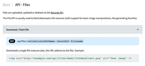 Client Sdk For The File Api · Pocketbase Pocketbase · Discussion 647