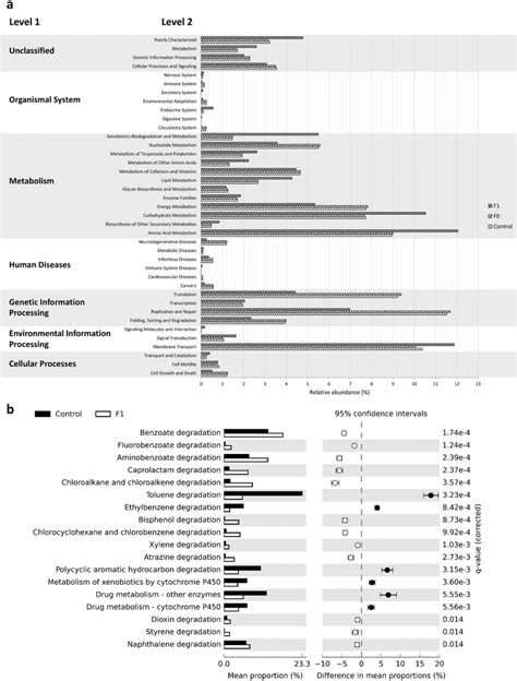 Functional Prediction Analysis Generated By Picrust A The Relative
