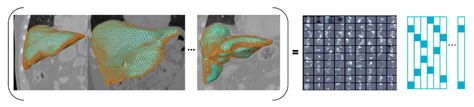 Robust And Accurate Appearance Models Based On Joint Dictionary