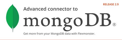 Advanced Mongodb Connector • Flexmonster