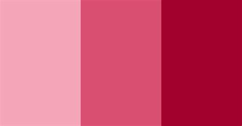 Raspberry Romance Color Palette Colordrop