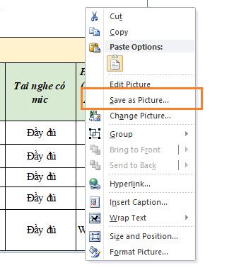 Thủ thuật chuyển file Excel sang hình ảnh nhanh miễn phí