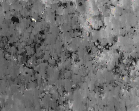 Custom Workflow Object Detection Object Detection Dataset And Pre Trained Model By Viltinventering