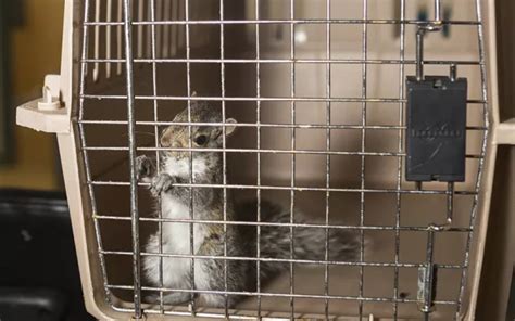 Lauren Owens Lambert And Liz Devitt Sierra Club