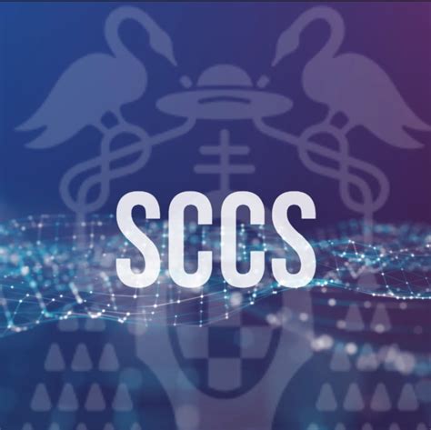 Sccs Uah Research Group Complex Systems In Social Sciences