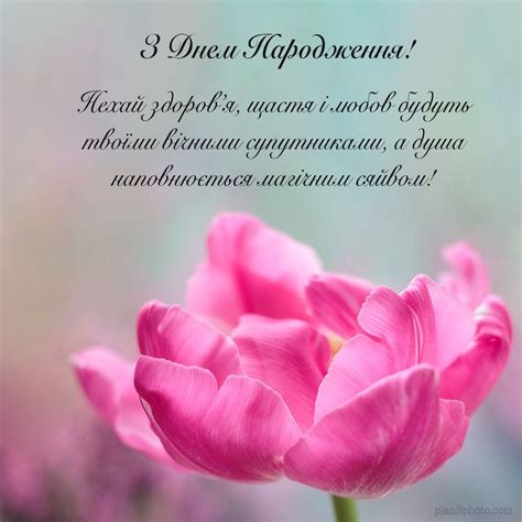 Ніжне поздоровлення з Днем Народження з тендітним малиновим тюльпаном