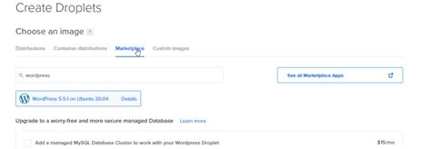 Step By Step Guide To Create A Free Wordpress Website Linuxtechlab