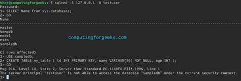 manage databases users and permissions in mssql server 2022