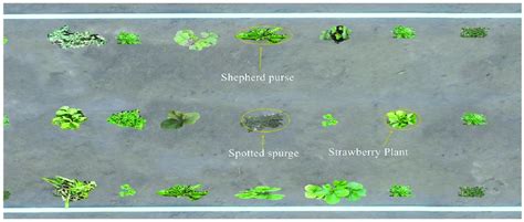 Design Of Laboratory Experiment Trajectory For Testing Spraying System Download Scientific
