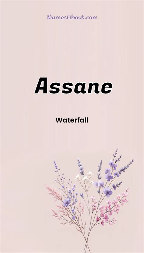 Assane Name Meaning And Origins Nicknames Sibling Ideas