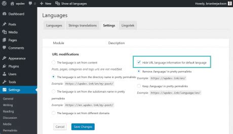 Ultimate WordPress Multilingual Guide How We Launched Languages