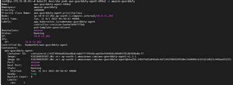 Amazon Elastic Kubernetes Service EKS Protection With AWS GuardDuty