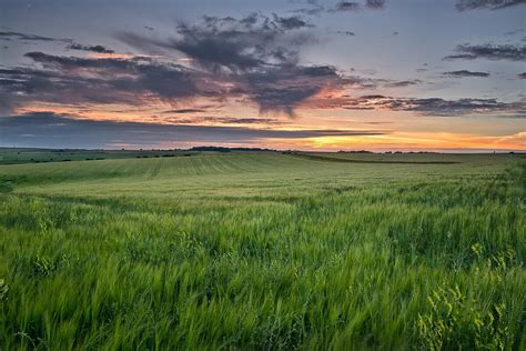 Фото смотреть поле закат бесплатно · бесплатная фотография от Photomonstr картинки и обои Fonwall