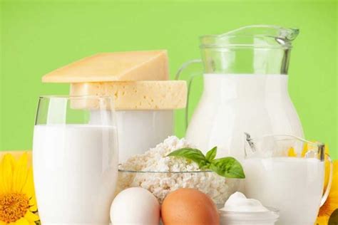 لبنیات به انگلیسی با توضیح کامل تستچی