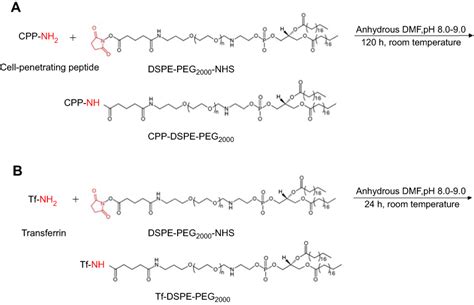 Development and screening of brain-targeted lipid-based nanoparticles | IJN