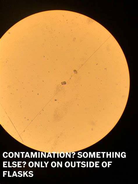 Questions With Answers In Cell Culture Science Topic