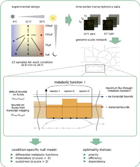 Schematic Representation Of The Proposed Approach Download Scientific Diagram