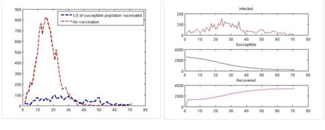 Vaccination Effect In Disease Dynamics Left No Vaccination 13 Of