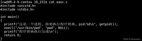 Linux 进程理解 进程的终止，等待与替换 Exec系列函数 环境变量的介绍与使用exec等待 Csdn博客