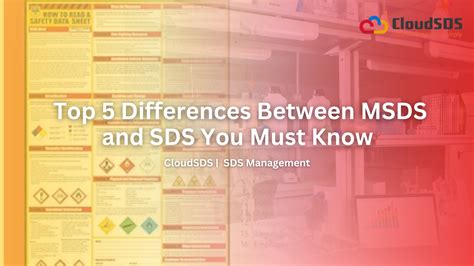 Top 5 Differences Between Msds And Sds You Must Know