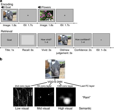 Procedure And Visual Features A Alternating Image Encoding And