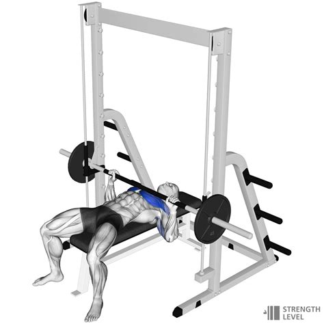 Smith Machine Bench Press Standards For Men And Women Lb Strength Level