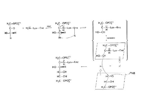 Aldeidi E Chetoni Struttura Gruppo Funzionale E Nomenclatura