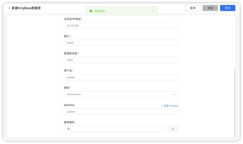 配置 Kingbasees 数据源 Dataease 文档