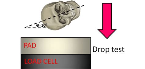 Test Setup For Drop Test Download Scientific Diagram