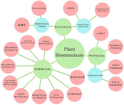 Strawberry Biostimulation Encyclopedia Mdpi