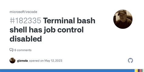 Terminal Bash Shell Has Job Control Disabled · Issue 182335